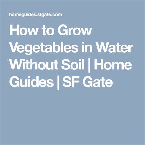 How To Grow Vegetables In Water Without Soil Growing Vegetables Vegetables Soil
