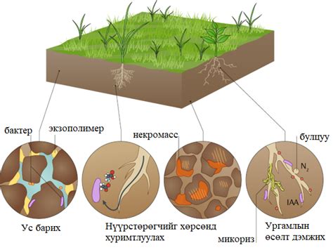 Хөрсний микробиологийн судалгааны хамтарсан төсөл хэрэгжиж эхэллээ