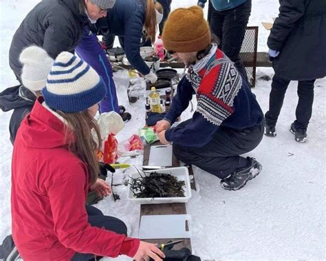 Bærekraft Ungdom Lur Inger I Fjæra De Endte Opp Med å Severe Tanglopper Stekt Med Løk