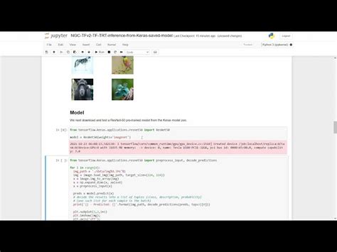 how to use tensorrt with tensorflow reason town