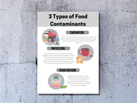 Three Types Of Food Contaminants Safety Poster Food Safe Chart
