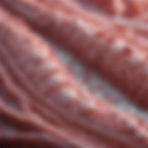 Reversing Aortic Calcification Strategies And Insights