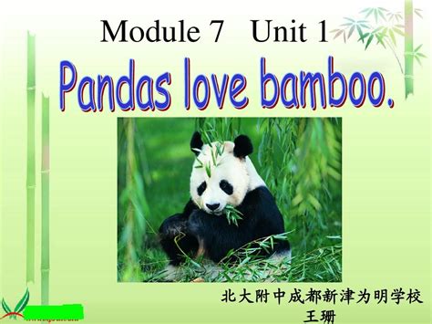B11m7u1 Pandas Love Bambooword文档在线阅读与下载无忧文档