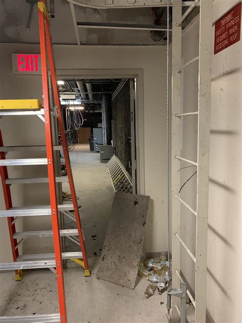 So I Moved A Ceiling Tile Today And Look What Came Raining Down R