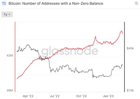 Bitcoin Holds Near 25k Despite Fall In Non Zero Balance Addresses