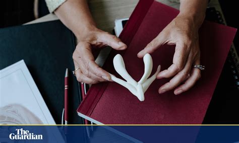 La única Función Del Clítoris Es El Orgasmo Femenino ¿por Eso La
