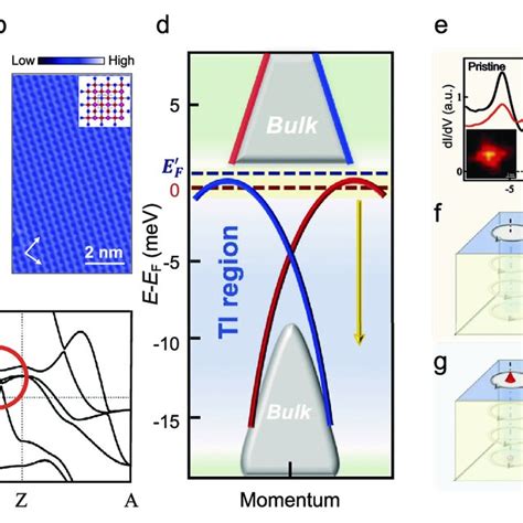 Topological Band Structure And Vortex Bound States Of Pristine Lifeas