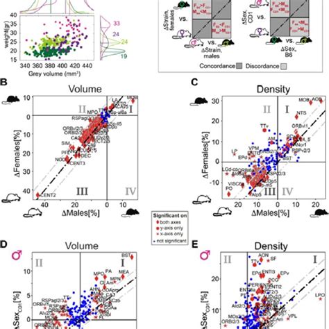 Sexual And Cross Strain Dimorphism In C57bl 6j B6 And Fvb Cd1 Cd1