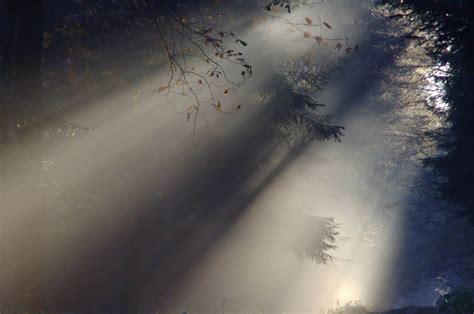 130 Fog Quotes Thatll Teach You Important Life Lessons