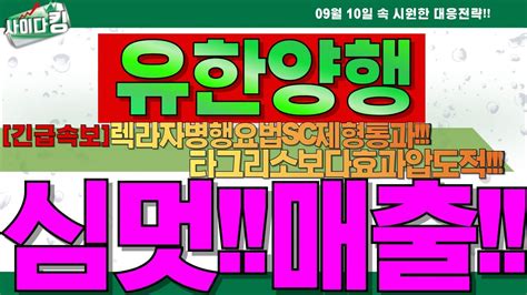 긴급속보 유한양행 렉라자 병행요법 Sc제형 Fda승인대기 타그리소보다 시술시간대폭 감소심멋매출 나옵니다 유한양행