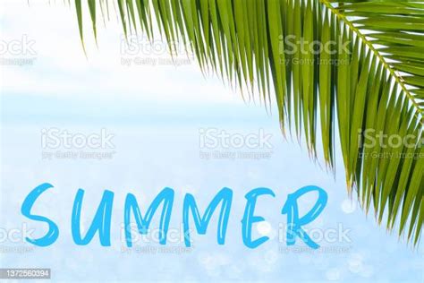 야자수 잎과 푸른 바다와 배경에 여름 텍스트 인사말 카드 엽서 또는 투어 에이전시의 광고 템플릿 계절에 대한 스톡 사진 및 기타 이미지 Istock