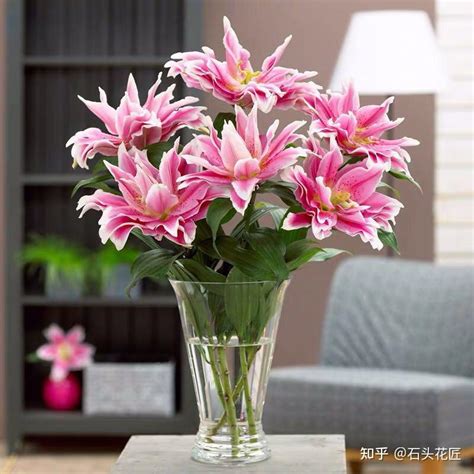 啤酒水到底能不能浇花？石头测试了4个方法，看看有效果吗？ 知乎