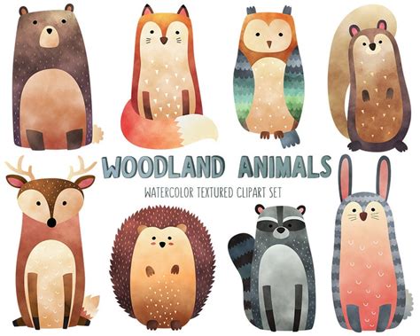 Aquarell Wald Tiere Clipart Süße Tier Clipart Set Aquarell Druck