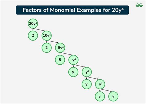 What Is Monomial Geeksforgeeks