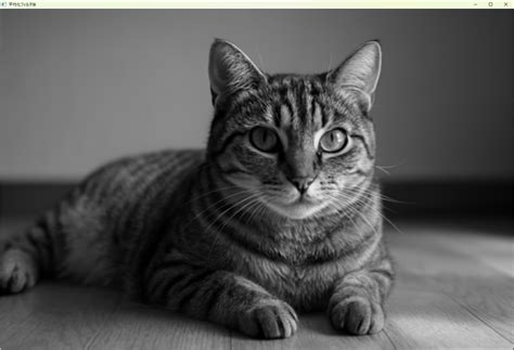 C Opencv Orbを使った高速回転不変特徴点検出とマッチング実装