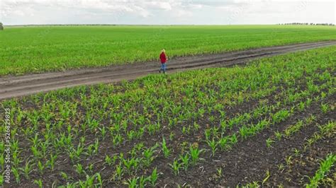 Top View Male Farmer Alone Walking On Country Path An Agricultural