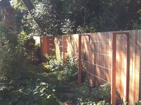 Rather Tidy Raspberry Supports For Along Back Fence Garden Vines Bird