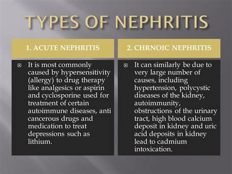 Nephritis Pdf