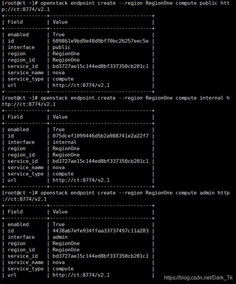 云系列 Openstack Nova组件 参数说明 详细讲解kubevirt Cpuallocationratio Csdn博客