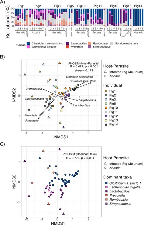 Host Of Origin And Dominant Taxa Are The Main Drivers Of Differences In