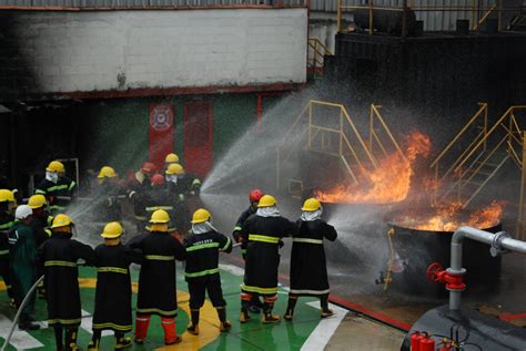 Mcia Caci Shelter Cursos