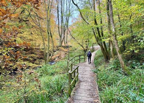 Falling Foss Waterfall Walk Scenic North York Moors Circular Trail