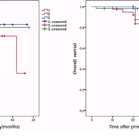 C 49 Year Old Female With Low Grade Serous Ovarian Cancer Download Scientific Diagram