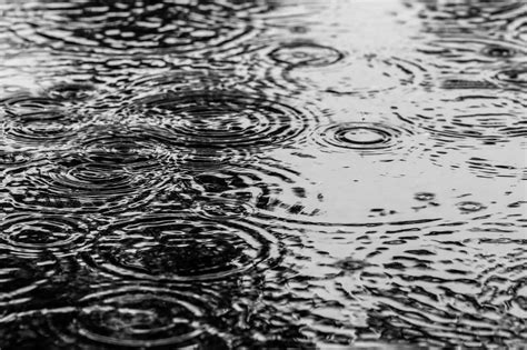 10 000 Free Rain Puddle And Rain Photos Pixabay