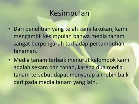 Pengaruh Media Tanam Terhadap Pertumbuhan Kecambah Ppt