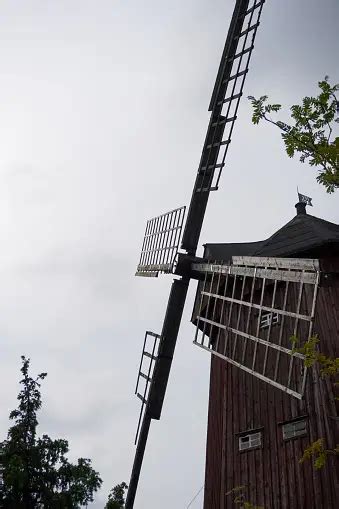 Moomin Pictures Download Free Images On Unsplash