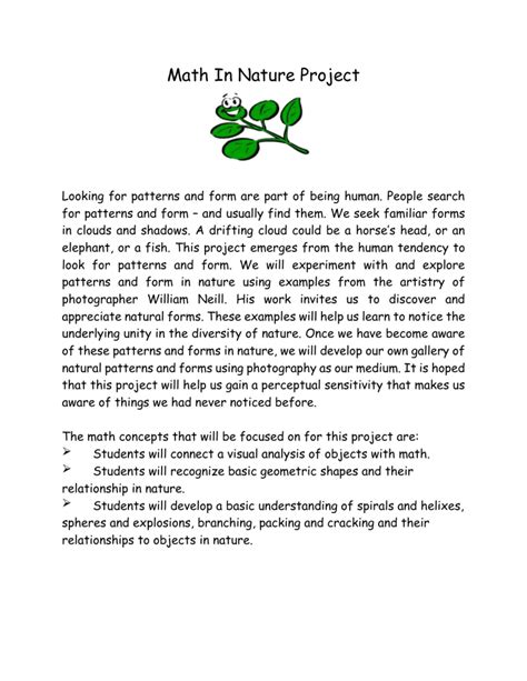 Math In Nature Project Geometric Shapes And Photography