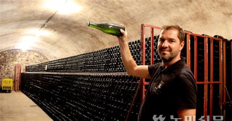 포도 재배부터 숙성·유통까지샴페인 모든 과정 ‘하우스가 관장