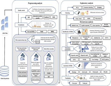 methods in dna methylation array dataset analysis a review pmc