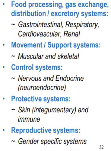 Homeostasis And Diversity Flashcards Quizlet