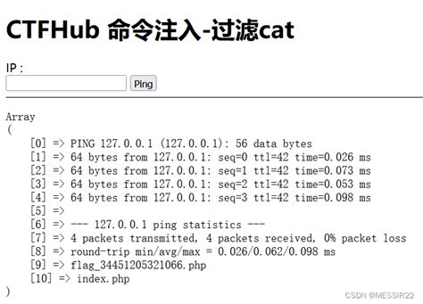 ctfhub web rce 过滤 ctfweb的过滤 csdn博客