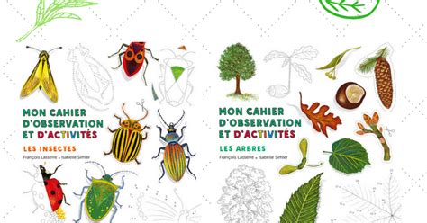 Mon cahier d observation et d activités Les Arbres Les Insectes