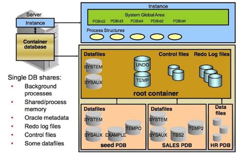 Base de datos Investigación sobre DBMS Oracle y MySQL