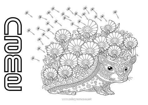 Mandala Ausmalbilder Igel Coloriage Ausmalbild Hedgehogs Herfst