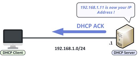 How Dhcp Works Step By Step Guide For Ccna