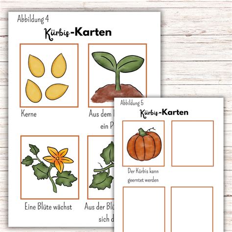 E Book Vom Kern Zum Kürbis Kinderlachen Ideen
