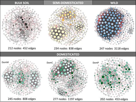 Network Co Occurrence Analysis Of The Microbial Communities In Bulk Download Scientific Diagram