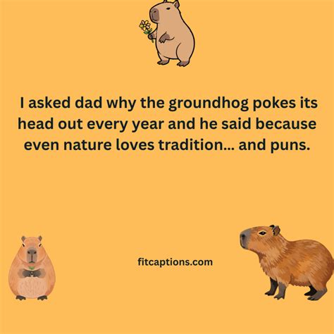 187 Groundhog Day Dad Jokes Thatll Keep You Laughing On Repeat 2026
