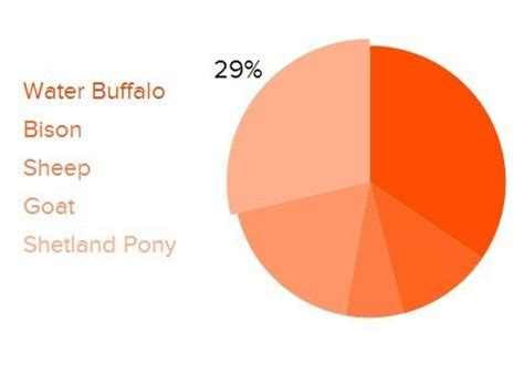 Responsive Pie Donut Chart Plugin With Snap Svg Pizza