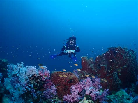 Untitled Ph Ng Flickr