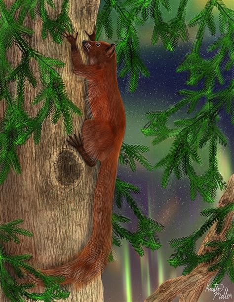 Going Where No Primate Has Gone Before” Scientists Identify New Species Of Near Primates R