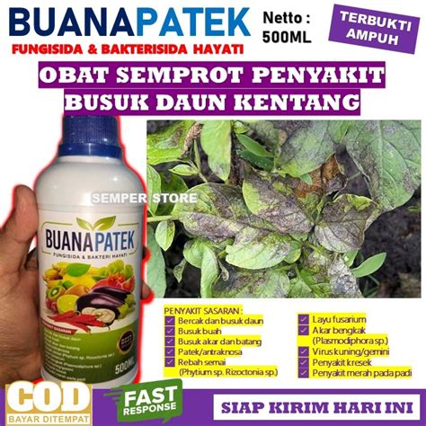 Jual Obat Busuk Daun Kentang AMPUH Fungisida Bakterisida Hayati BUANAPATEK Isi ML Obat