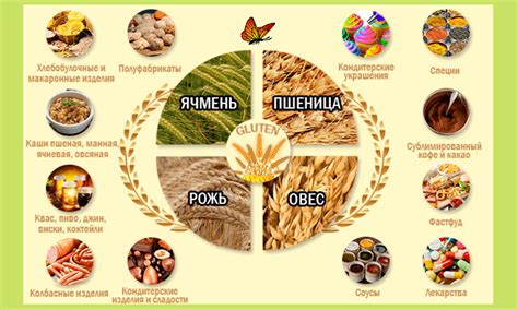 Глютен: что это, почему он вреден, в каких продуктах содержится