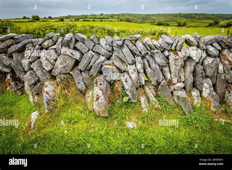 Ireland Design And Visual Culture At Will Mcguirk Blog