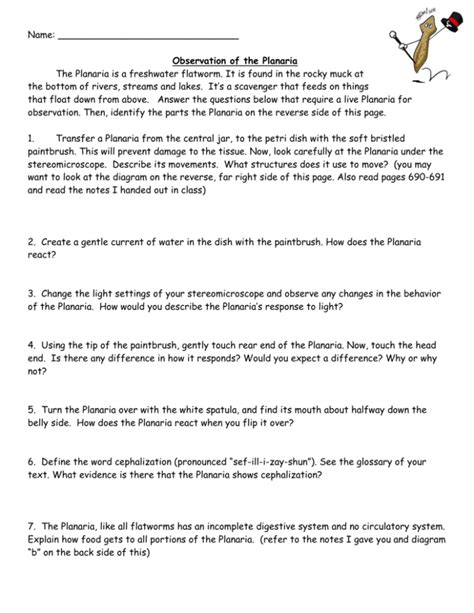 Planaria Observation Worksheet Anatomy And Behavior