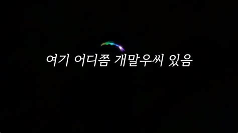 나 여기있고 너 거기있지 시골개들의 깜깜한 밤산책 시간 Youtube